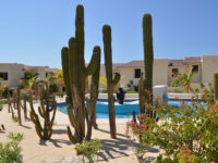 Cabo San Lucas Beachfront Vacation Rentals - Terrasol Beach Resort